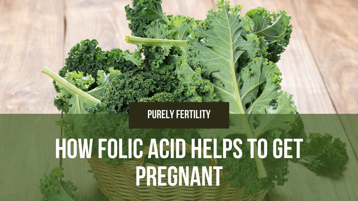 How folic acid helps to get pregnant - A detailed guide – Purely Fertility